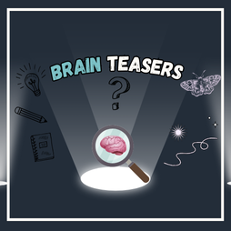 Quizmaster - Free online Quiz - play Now!